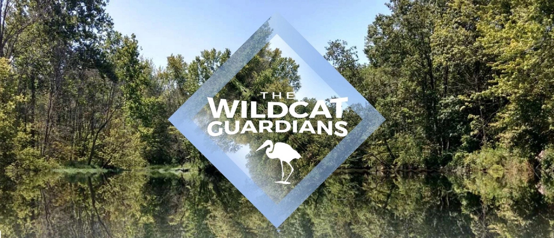 Explore Wildcat Creek Paddling