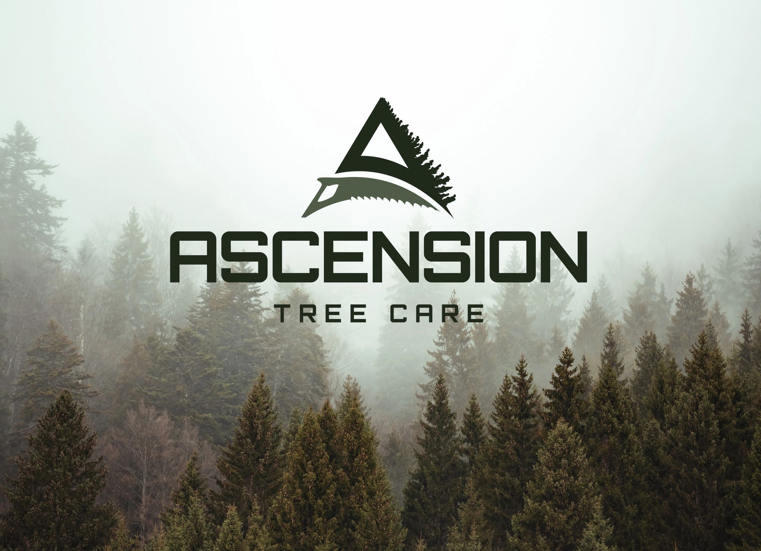 About Us | Ascension Tree Care