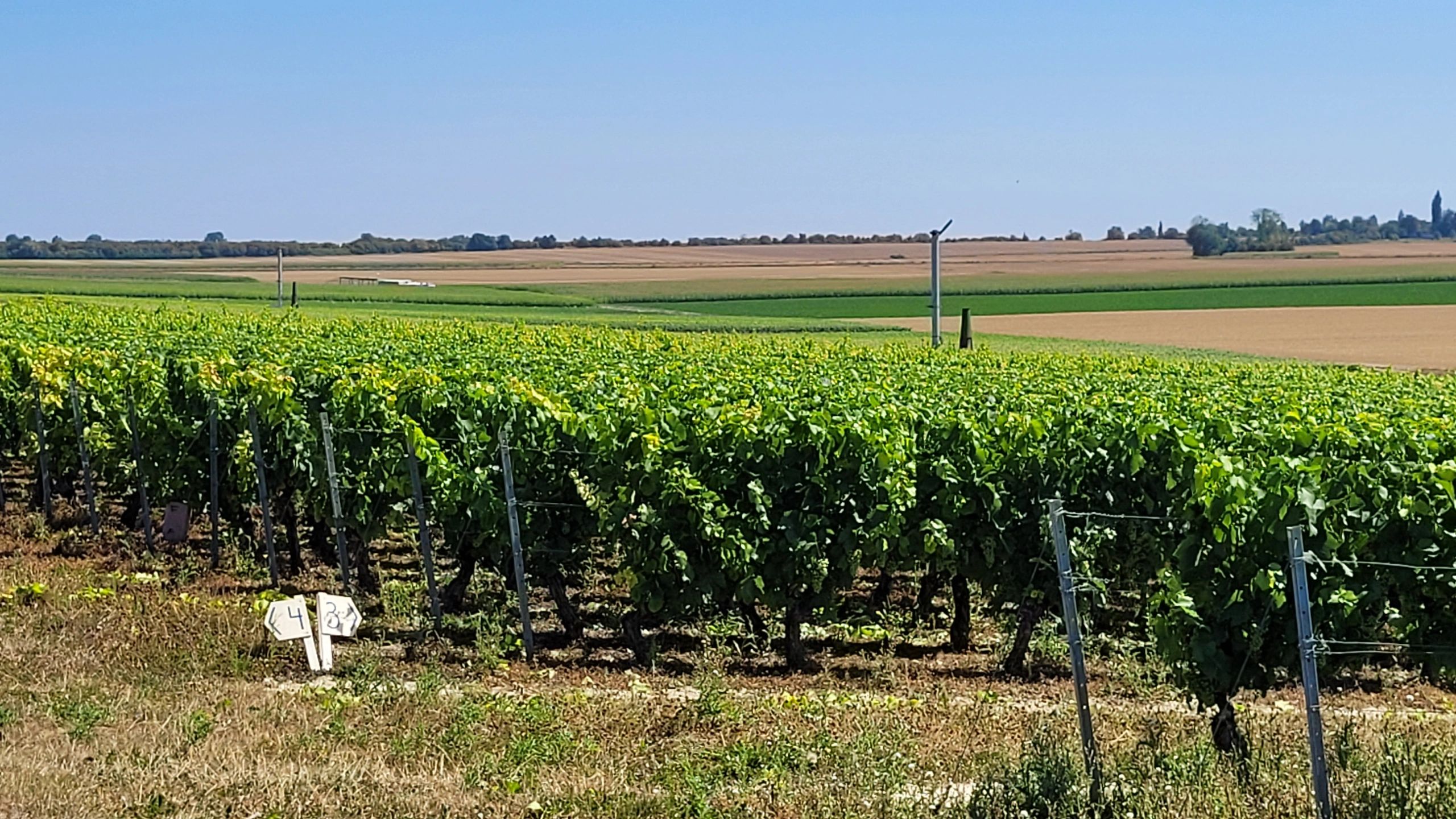 Vignoble des Agaises "Ruffus" Méthode Traditionnelle Brut