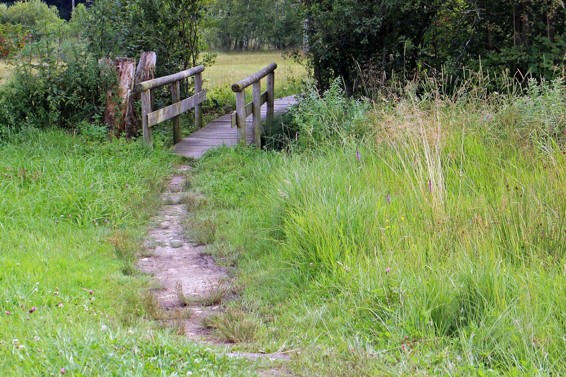 Build bridges not fences