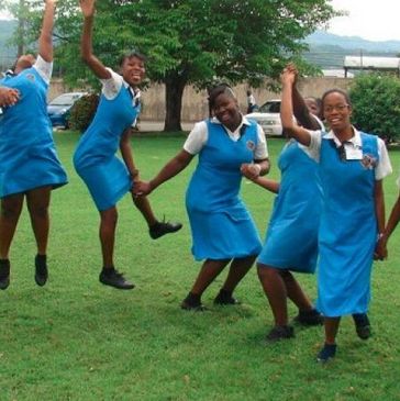 Merl Grove High School