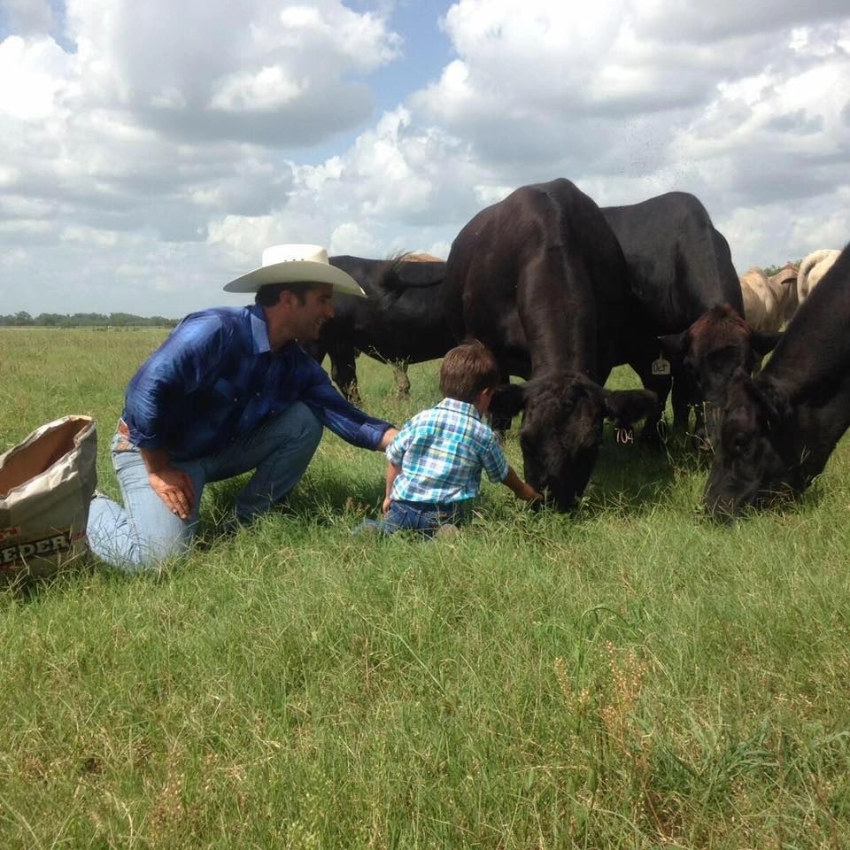 Cattle Marketing Needs | Cowboy Sales