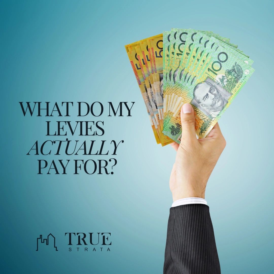 What do my levies actually pay for?