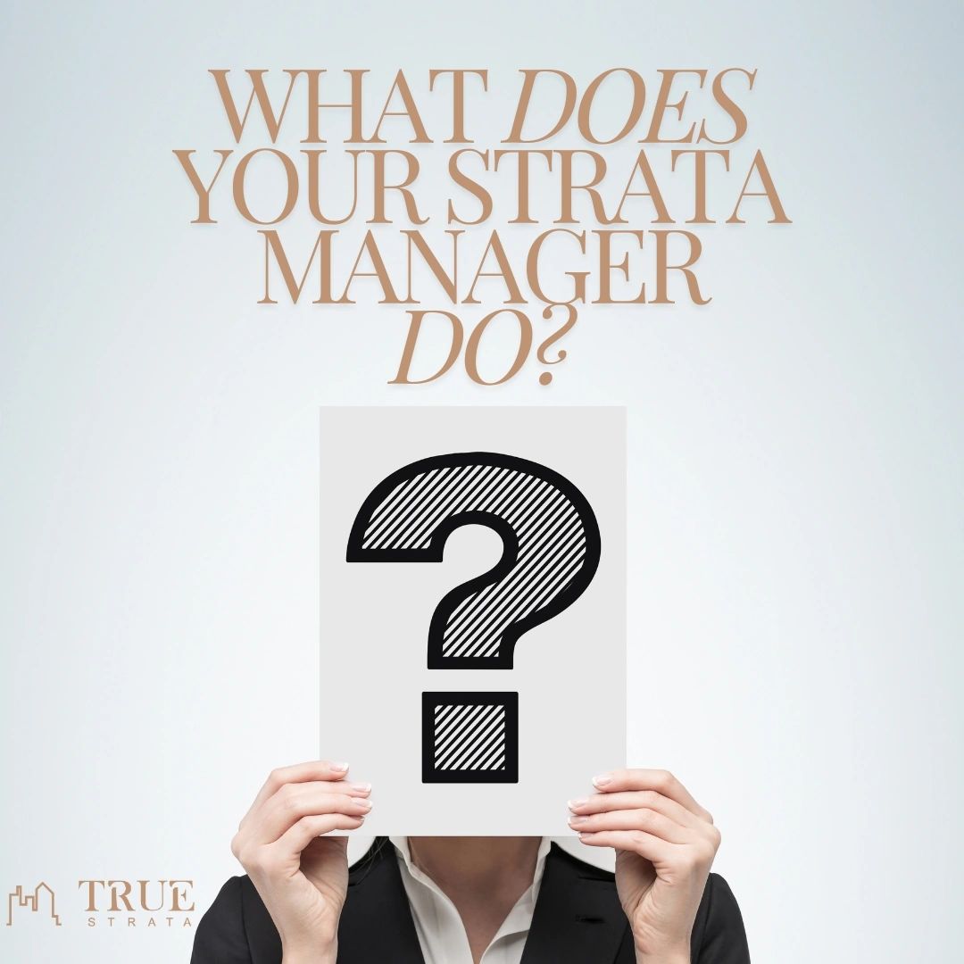 The role of your Strata (Body Corporate) Manager