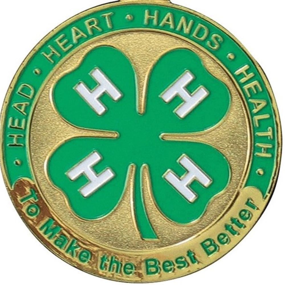 What Is 4 H 