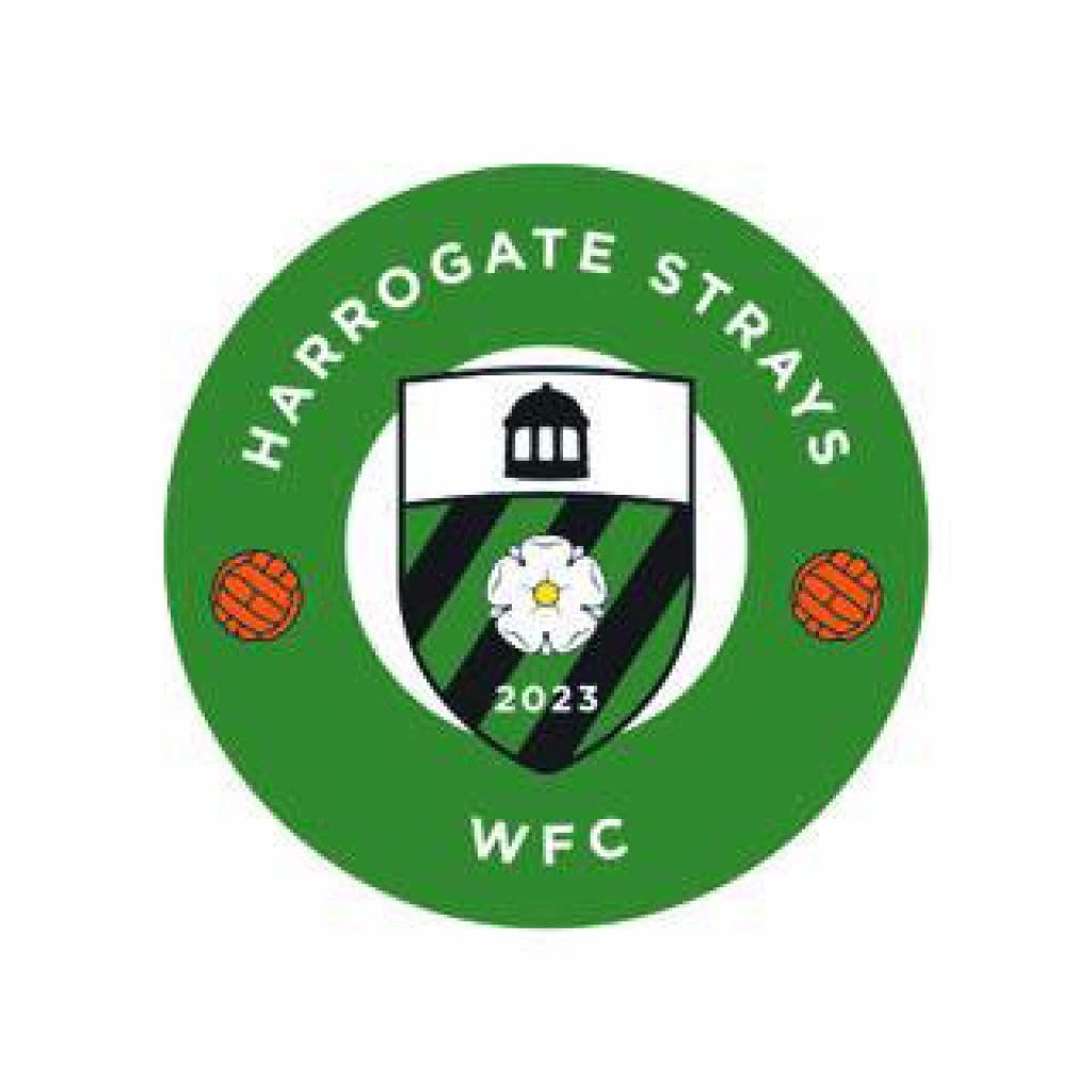 Harrogate Strays Walking Football Club