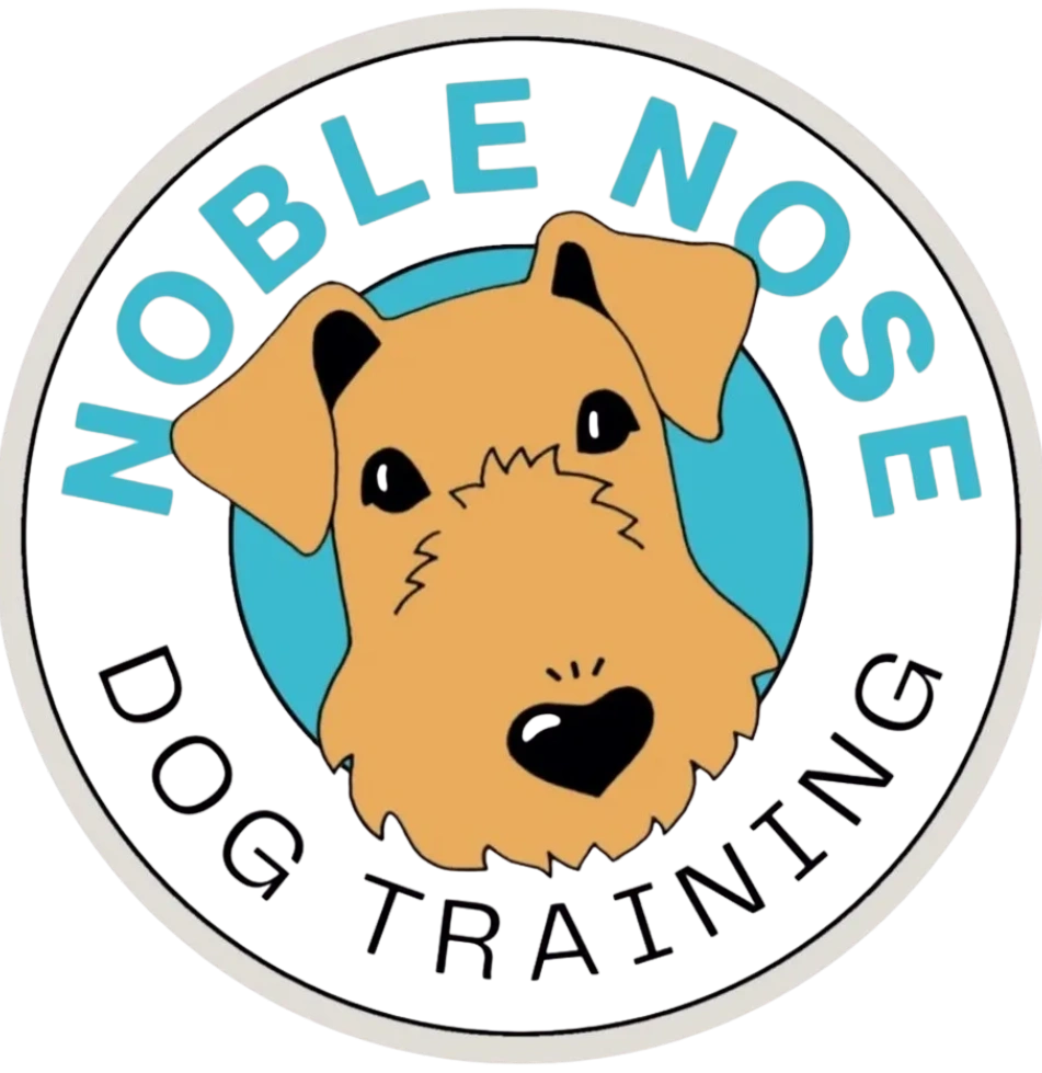 Boot Camp 2026 | Noble Nose Dogs