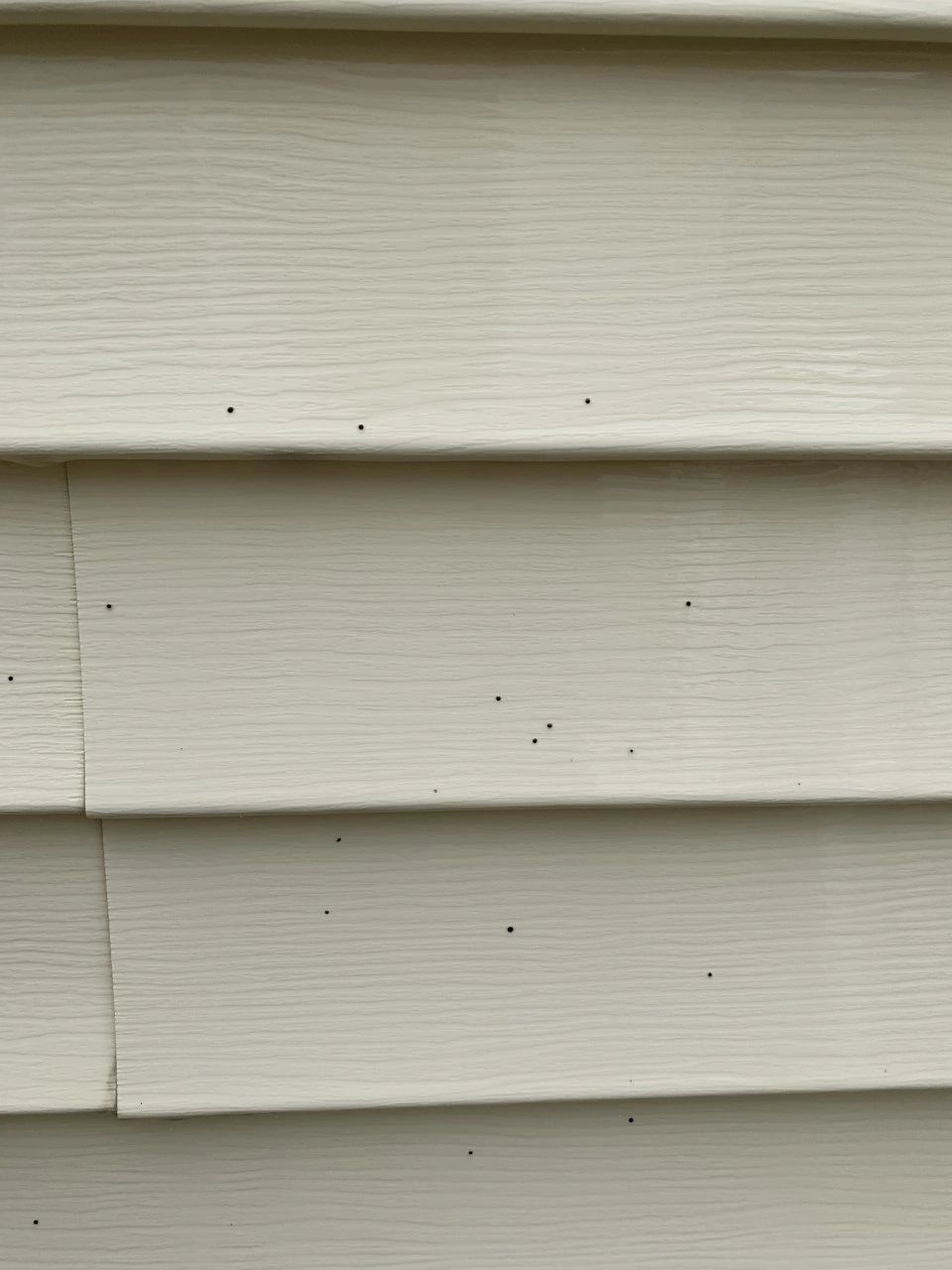 How To Get Rid Of Mold On Siding