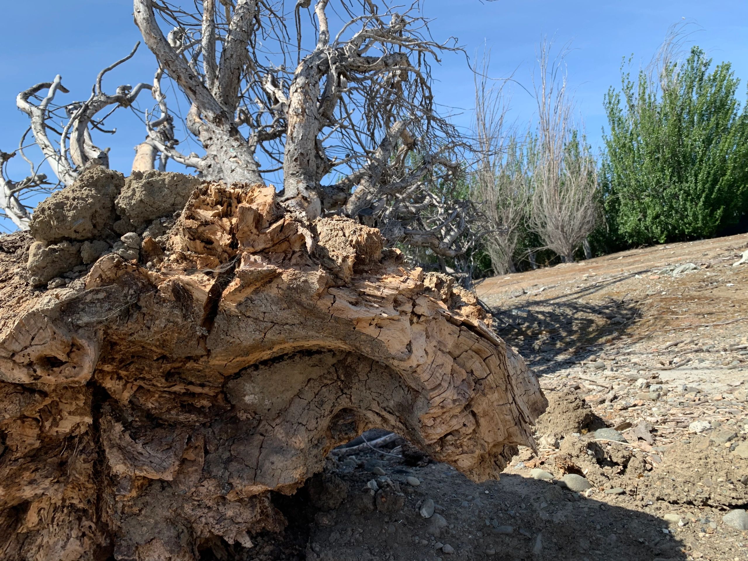 Surface: What Is Above, What Is Below