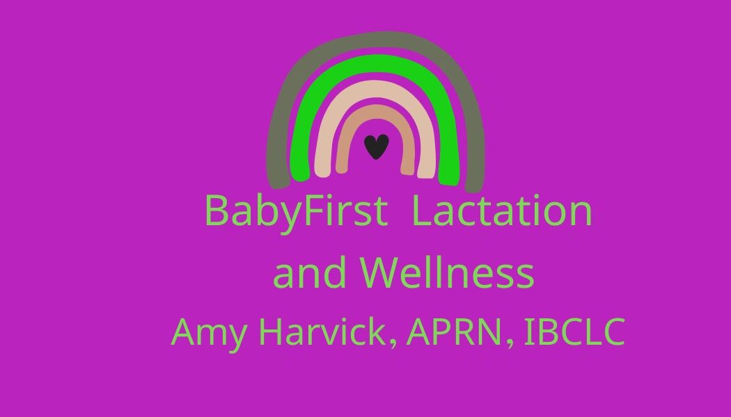 BabyFirst Lactation - Breastfeeding, Lactation, Childbirth