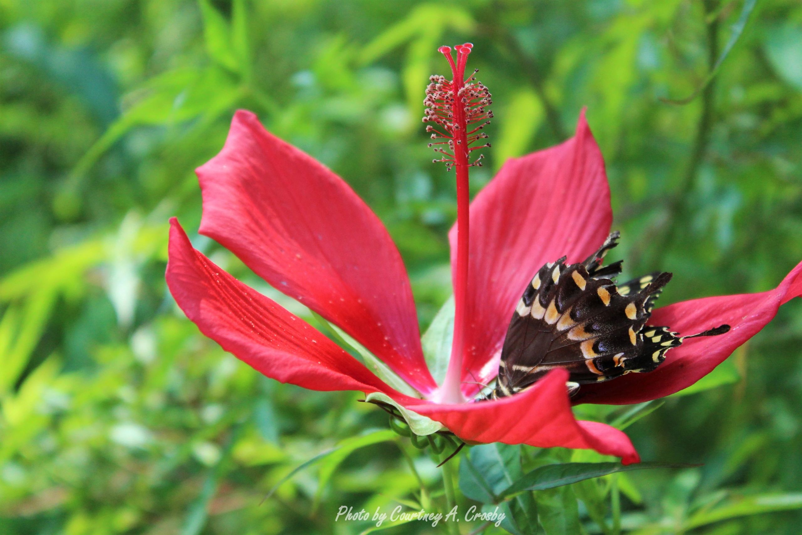 don-t-lose-focus-photography