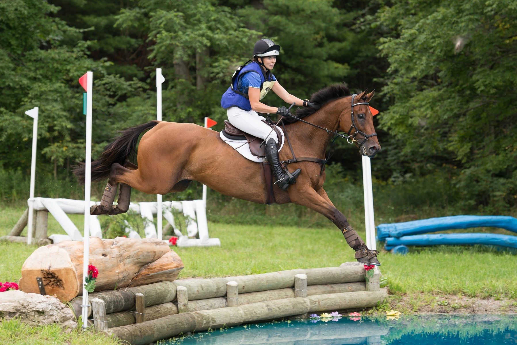 HOME [pinnacleequestrian.net]