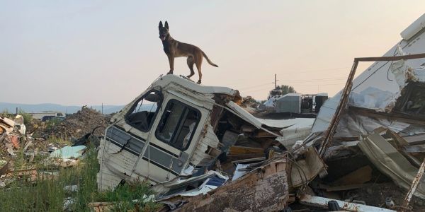 K9 Task Force - K9-TASK FORCE