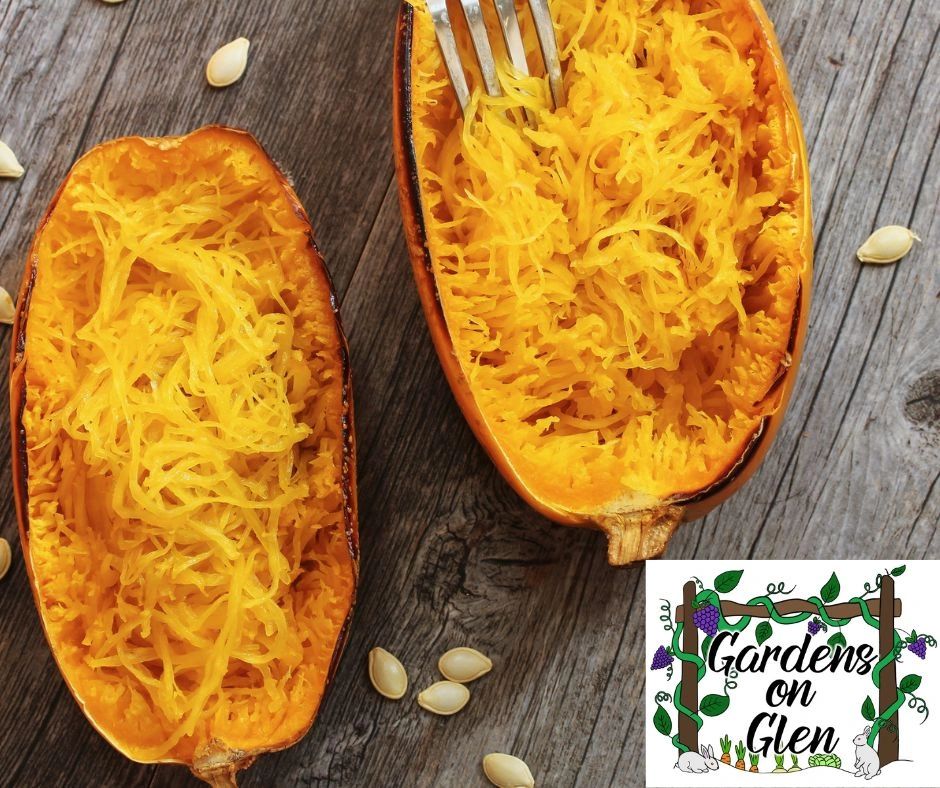 Basic Spaghetti Squash & 16 AMAZING Toppings to Choose From!
