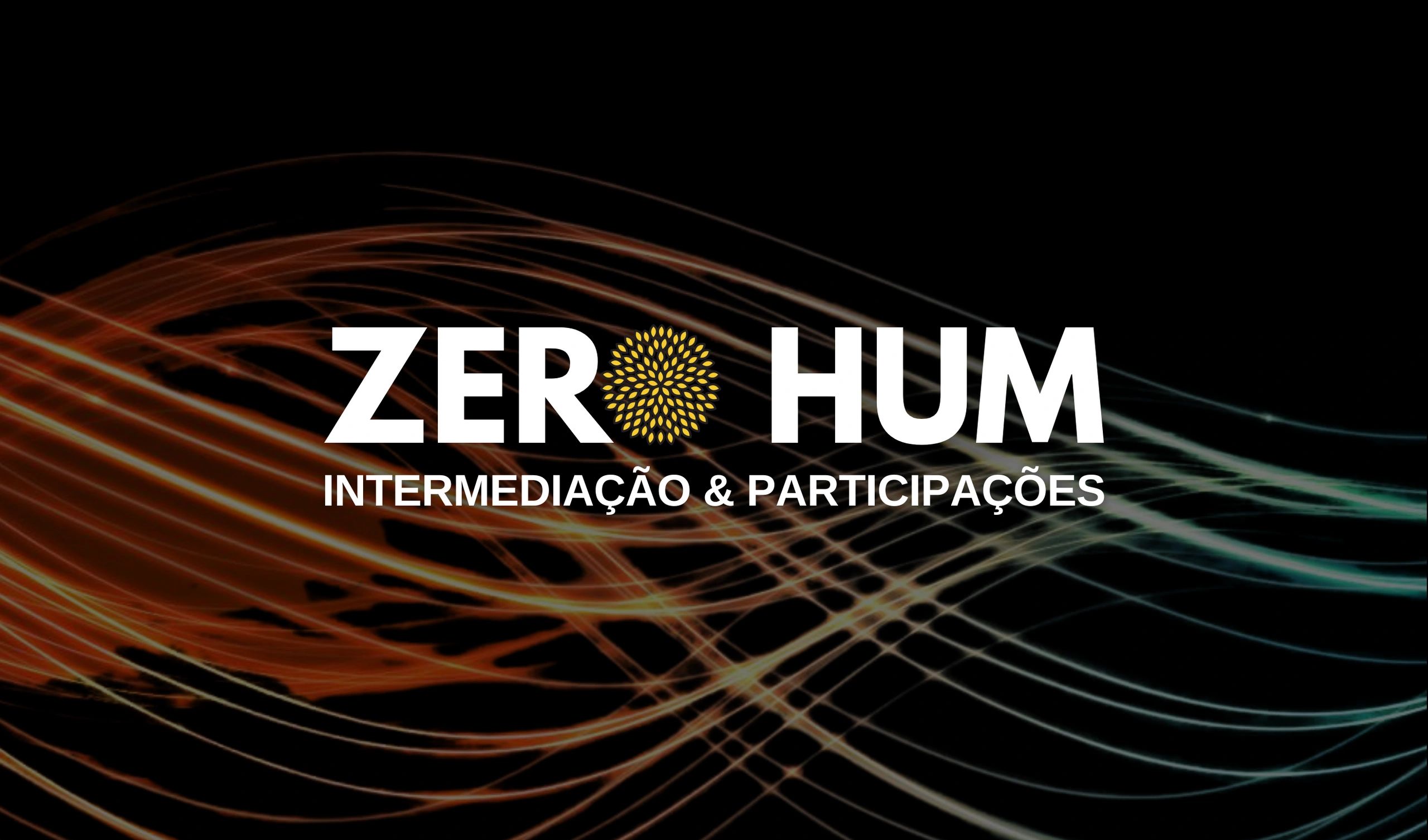 ZeroHum Intermediação e Participações Ltda