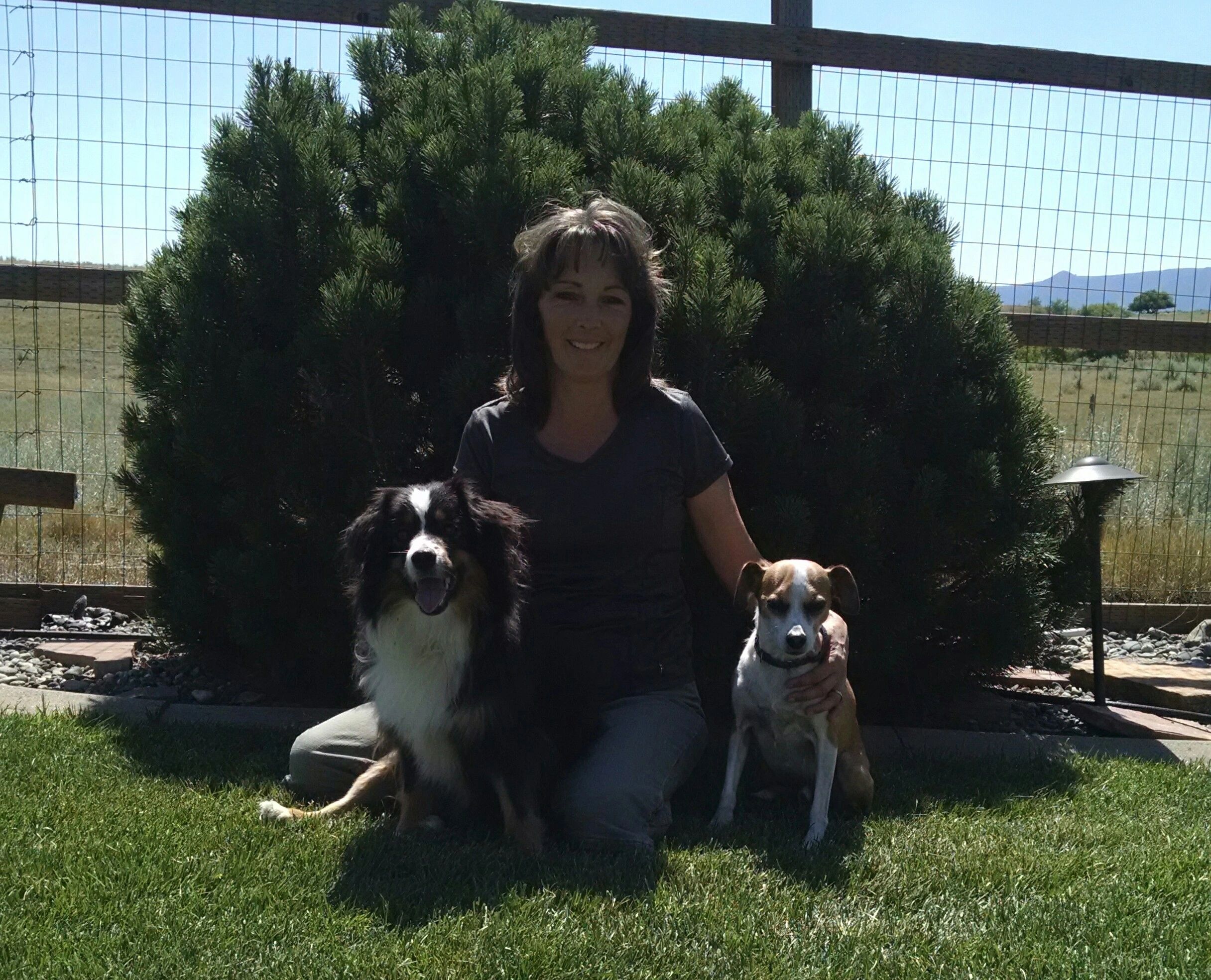 PAWSitive Training llc - Dog Training, Dog Trainer