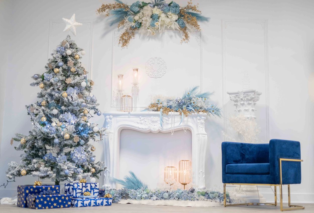 Frozen Holiday Setup