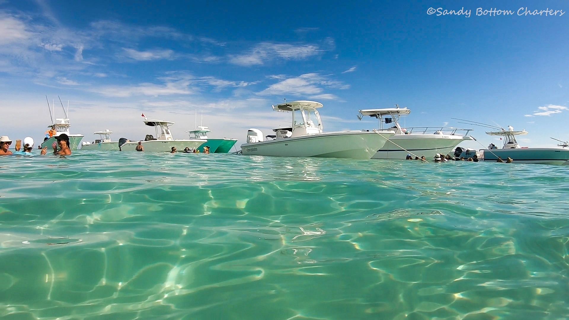 Sandy Bottom Charters - Boat Charter, Sandbar and Snorkeling Tours