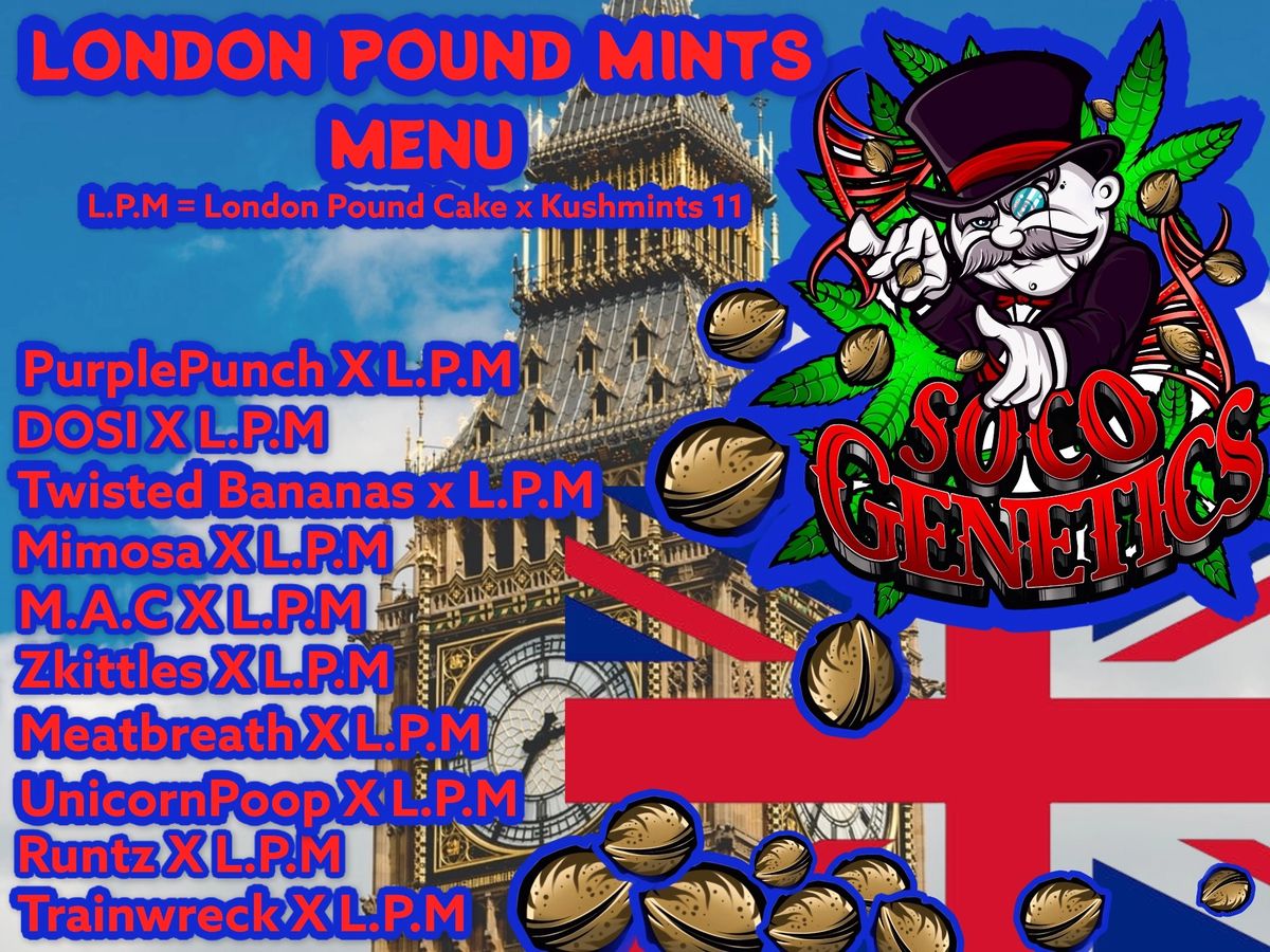 LONDON POUND MINTS CROSSES