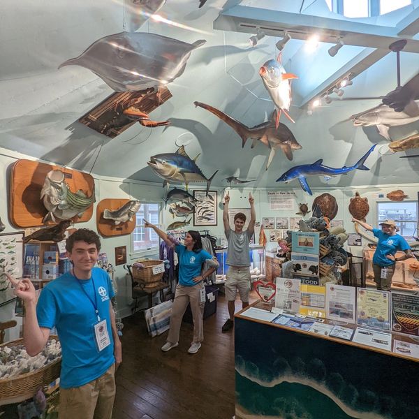 Sea Life Museum