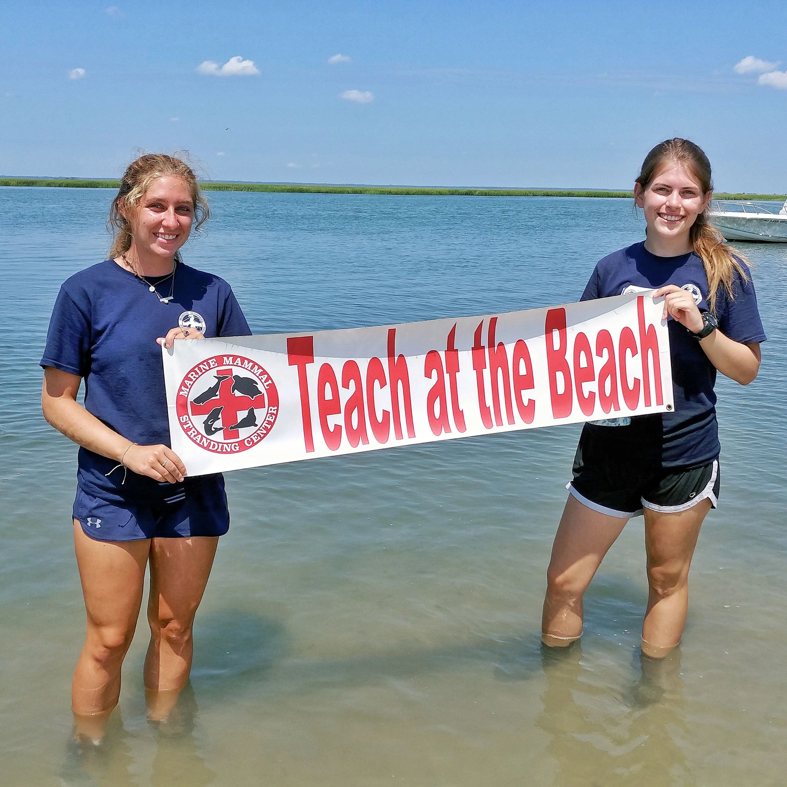 Summer Beach Programs