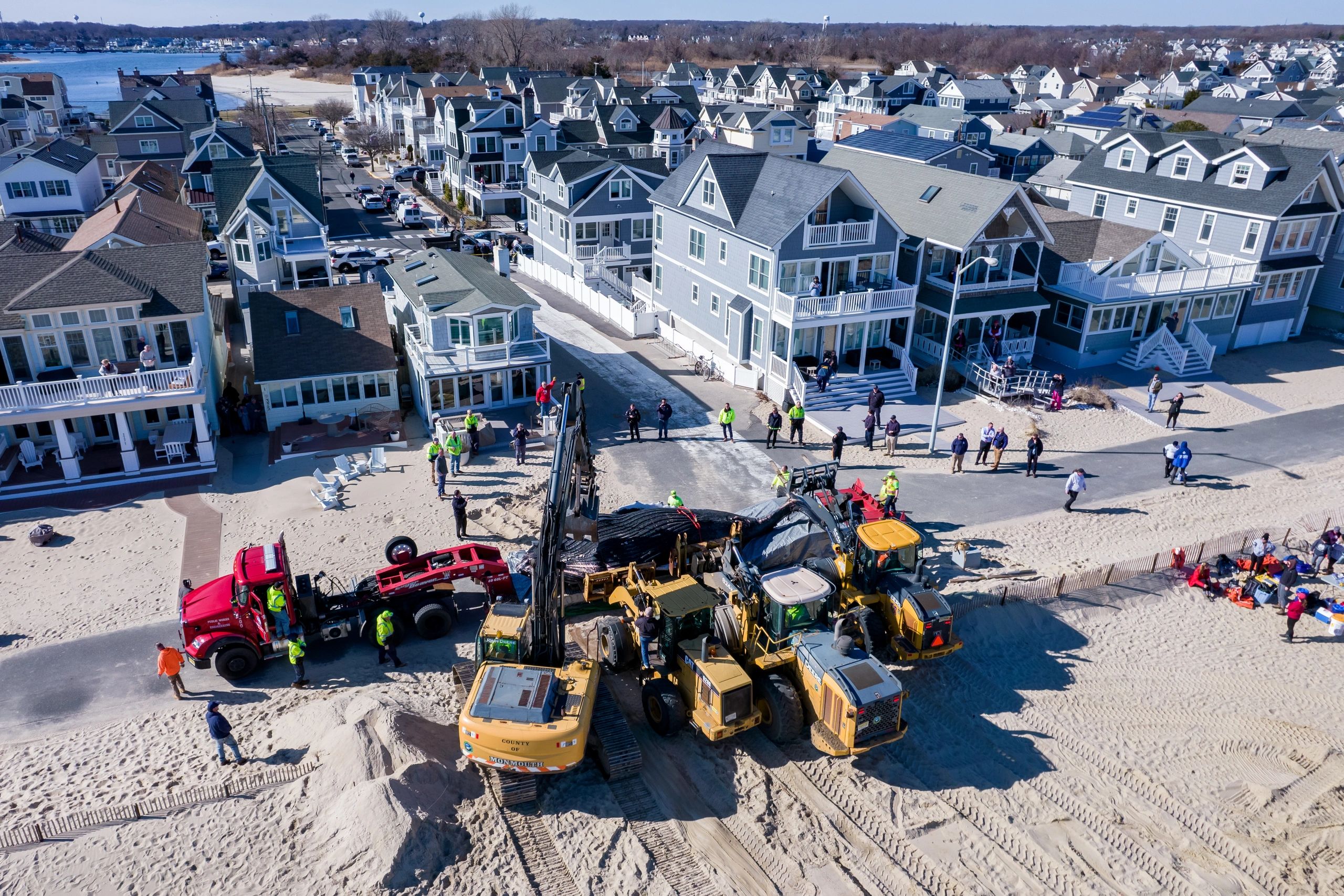 Update on Manasquan Beach Humpback Whale Stranding