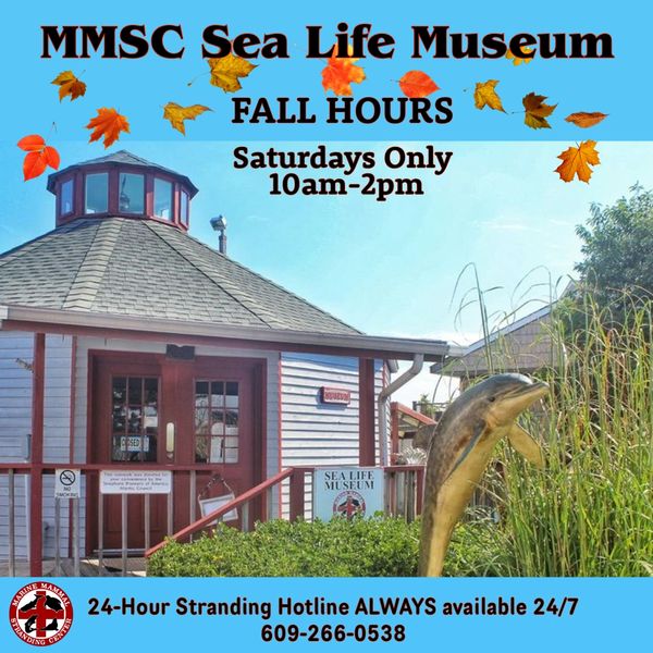 Sea Life Museum