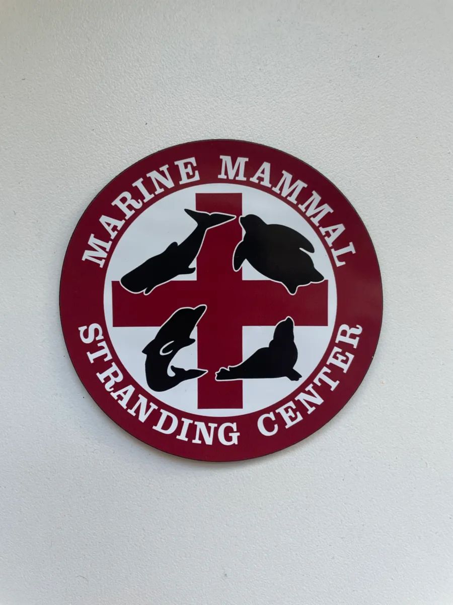 MMSC Red Cross Logo Magnet