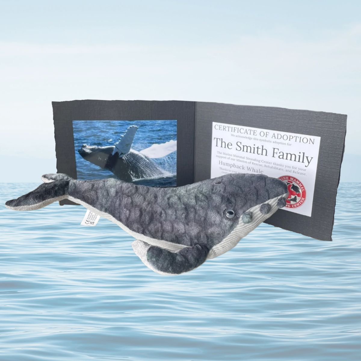 Humpback Whale Adoption Package