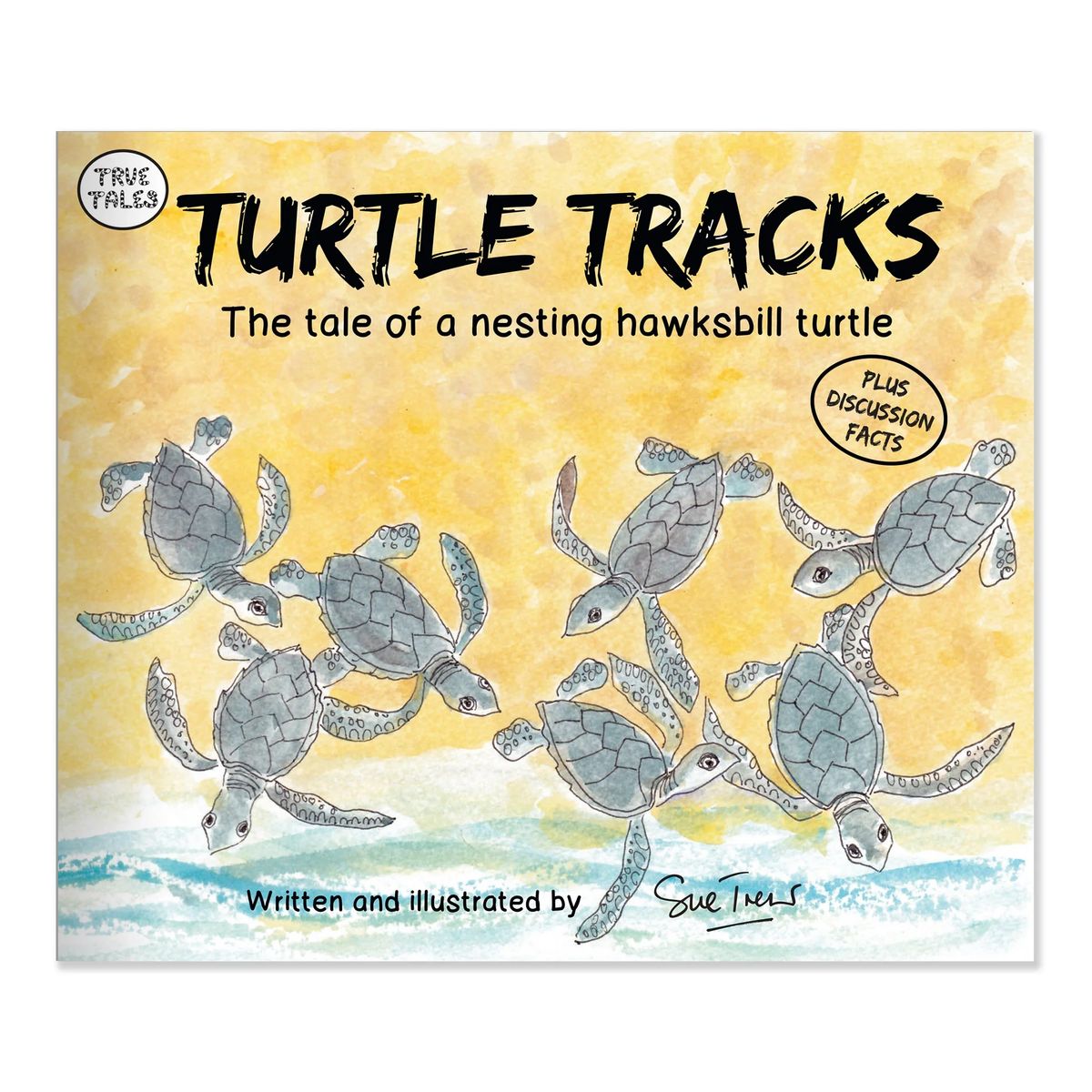Turtle Tracks Book