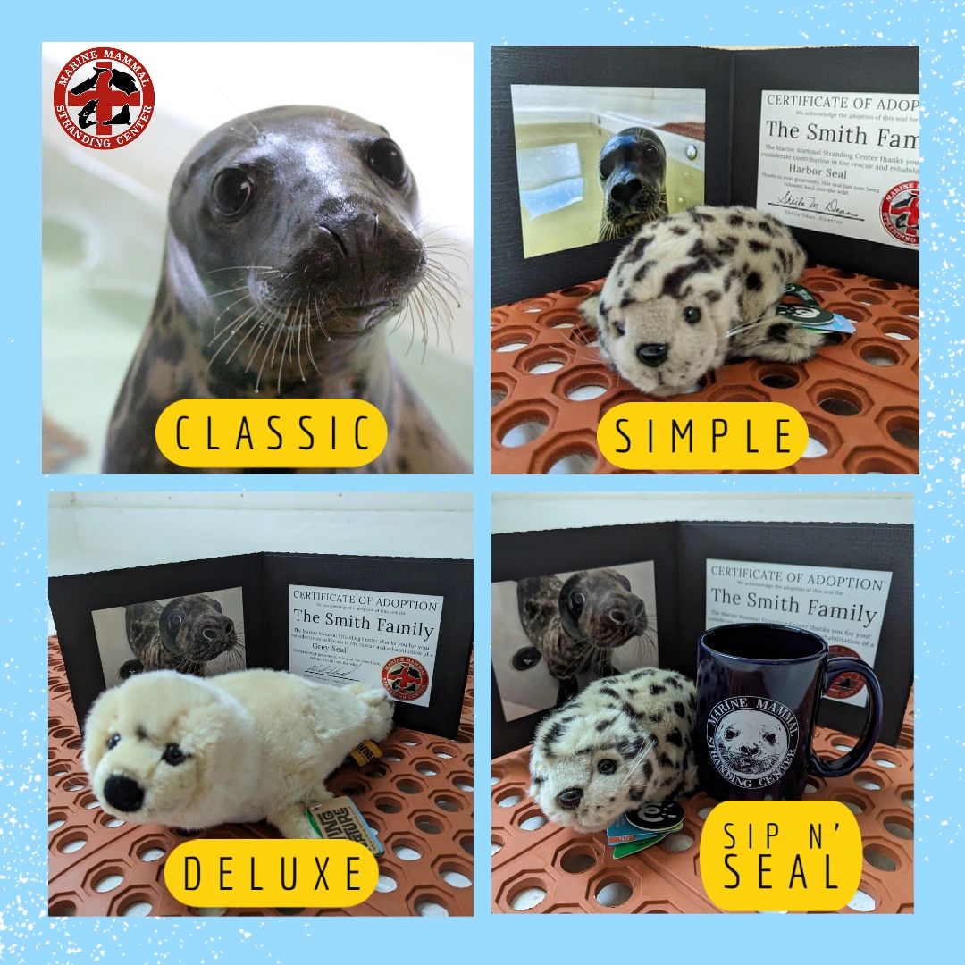 Adopt-a-Seal Plush Packages