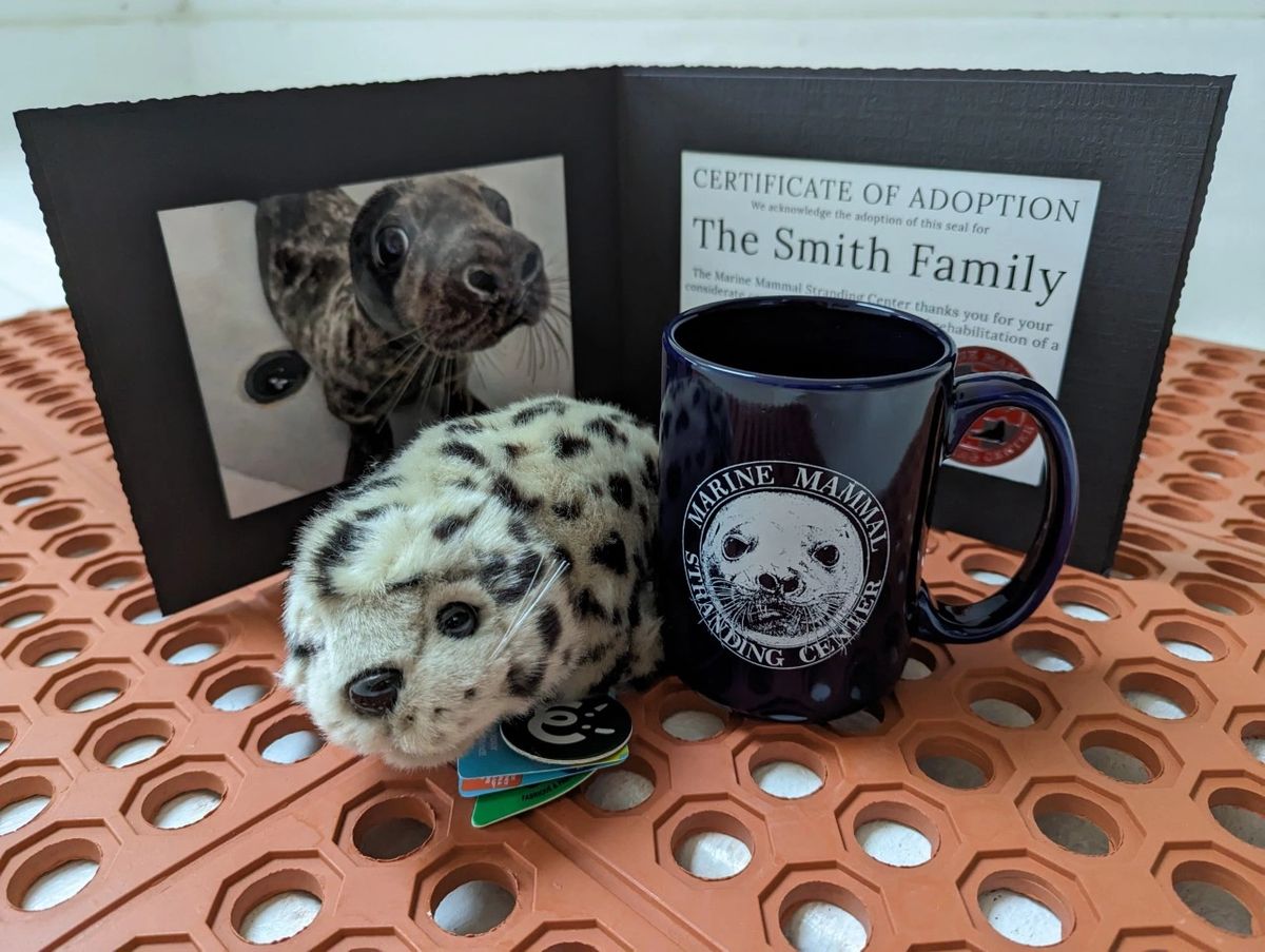 "Sip n' Seal" Adoption Package (with Plush and Mug)