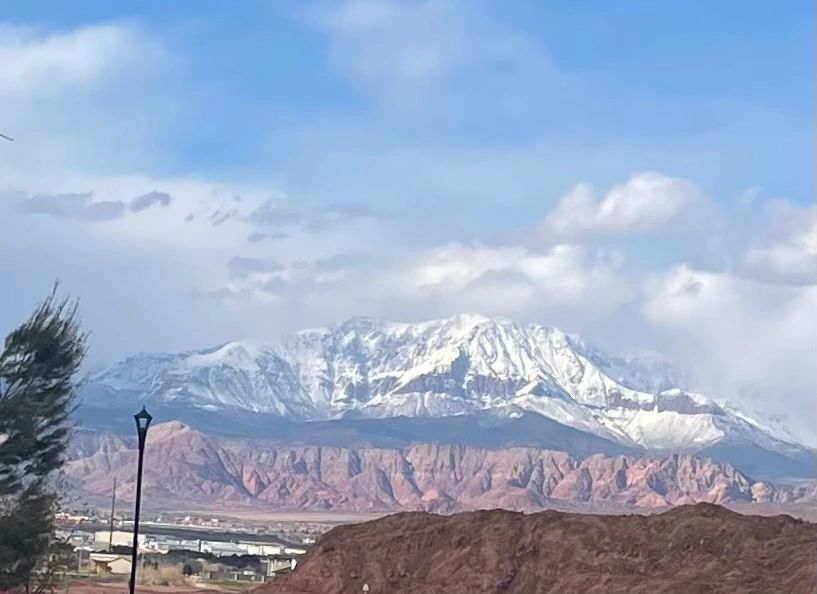 Life with Kay and Jules