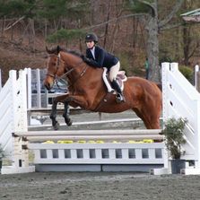 Waters Edge Farm - Horseback Riding Lessons, Horse Boarding