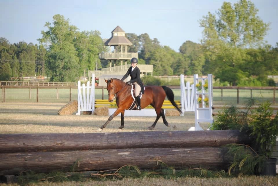 Waters Edge Farm - Horseback Riding Lessons, Horse Boarding