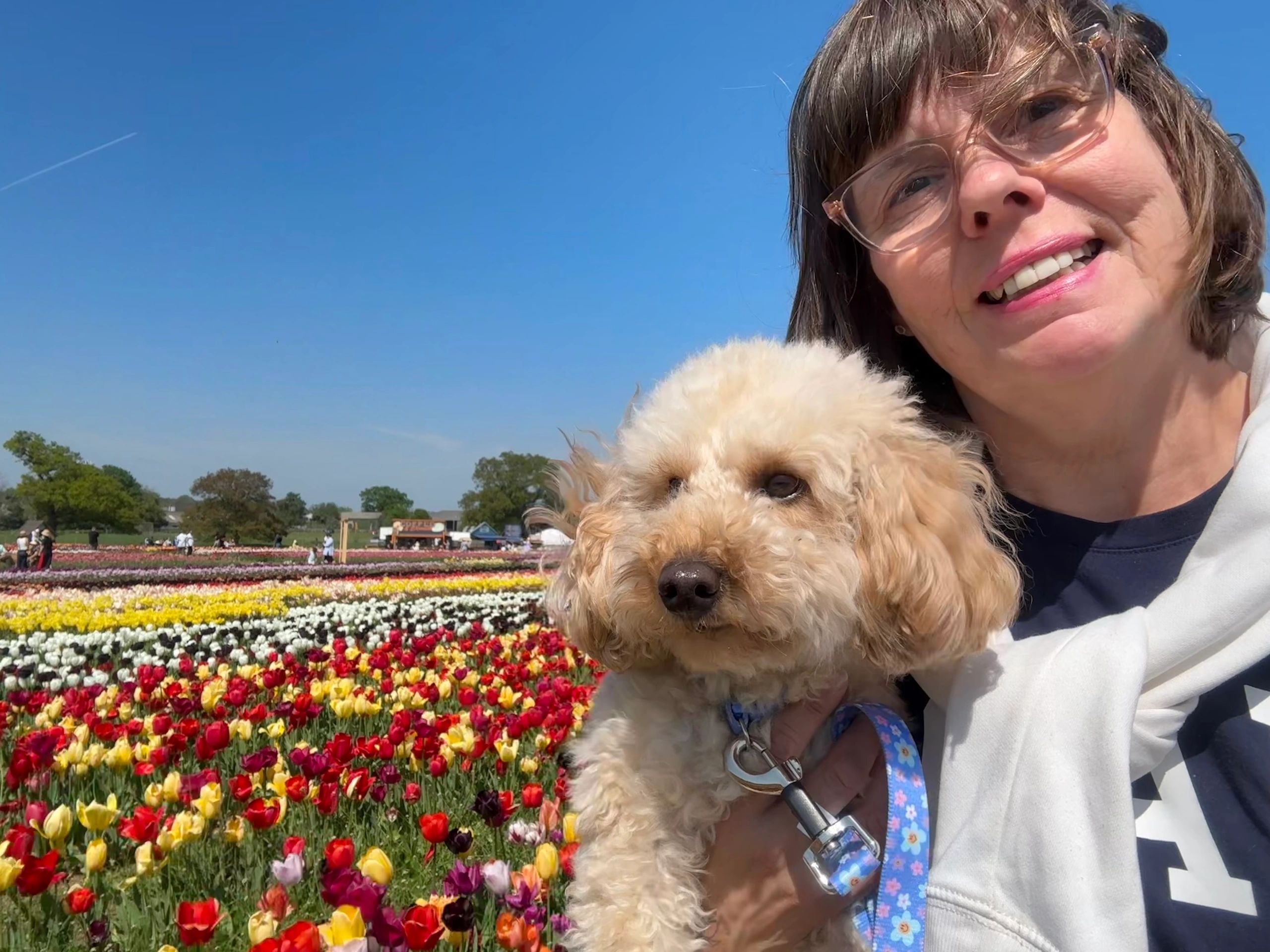 Fun, focused & friendly dog training & puppy training classes.