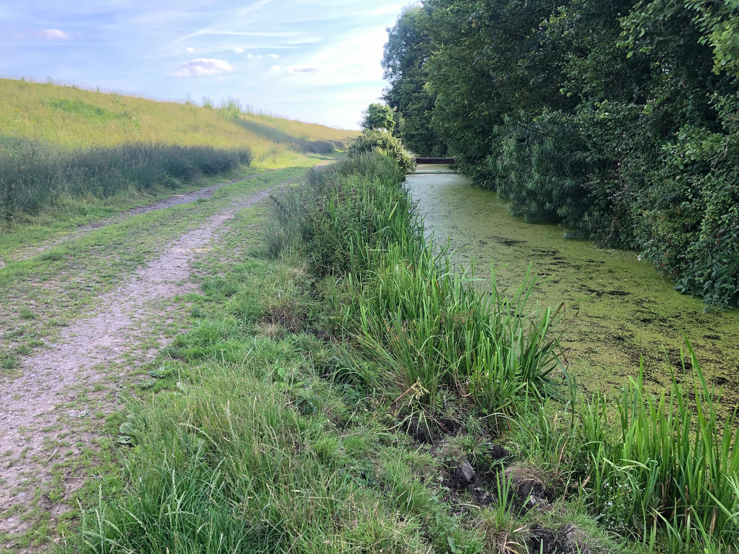 The Beautiful Gwent Levels