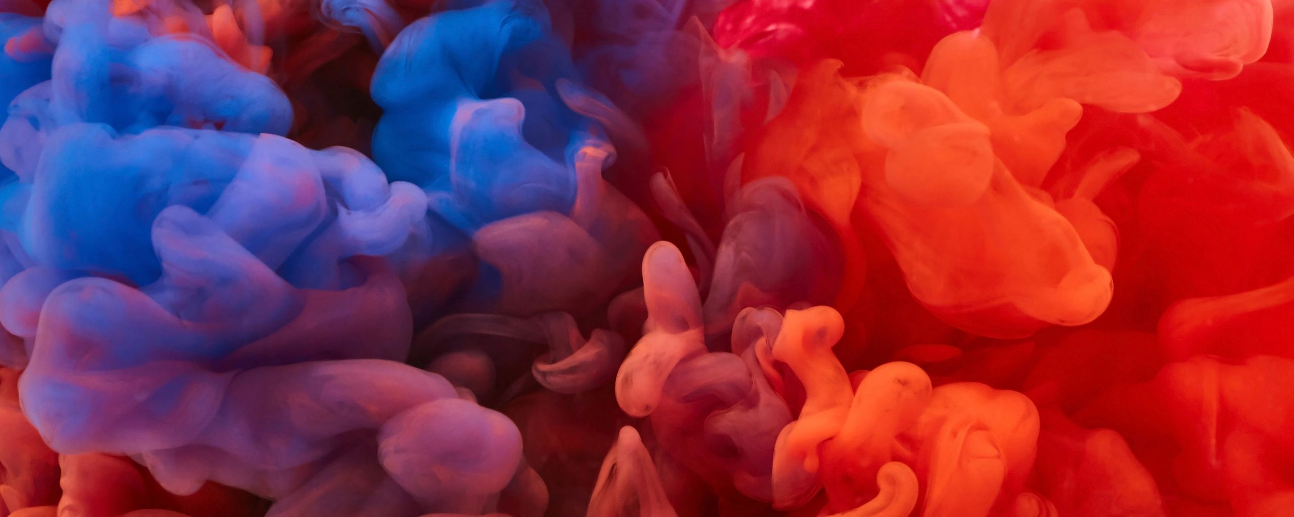 Wrap Media - Marketing Consultant