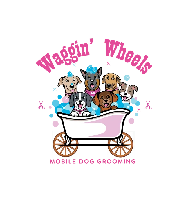 Top Mobile Dog Grooming Services for Your Pet