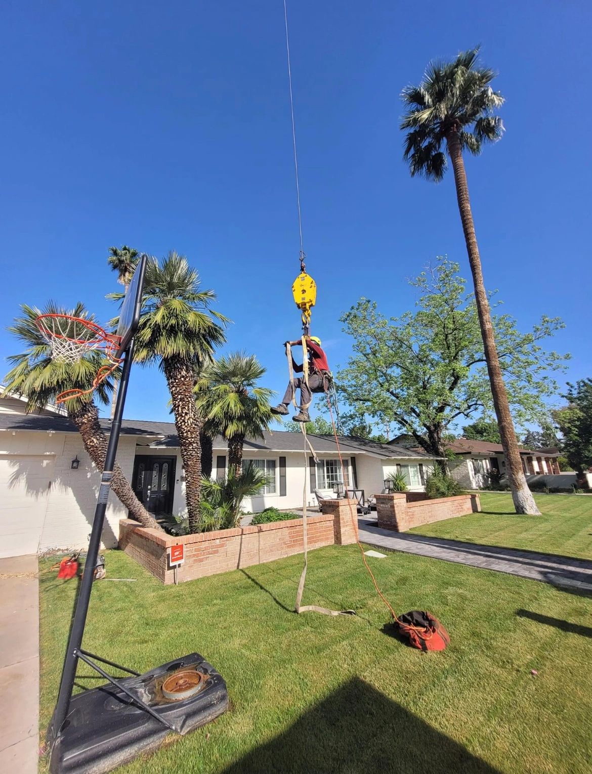 Radley's Tree Service
