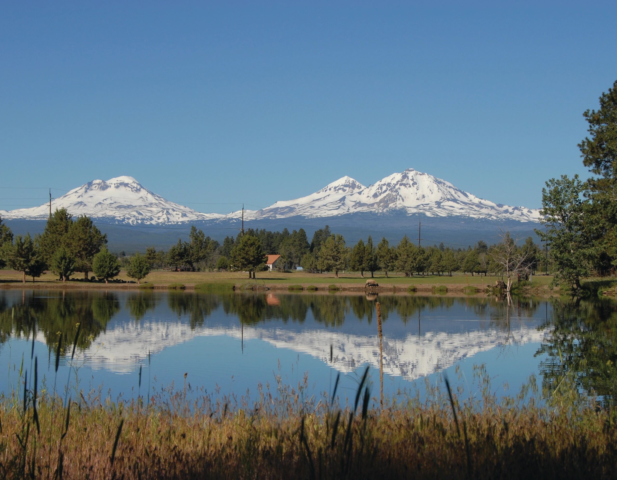 Central Oregon Shows