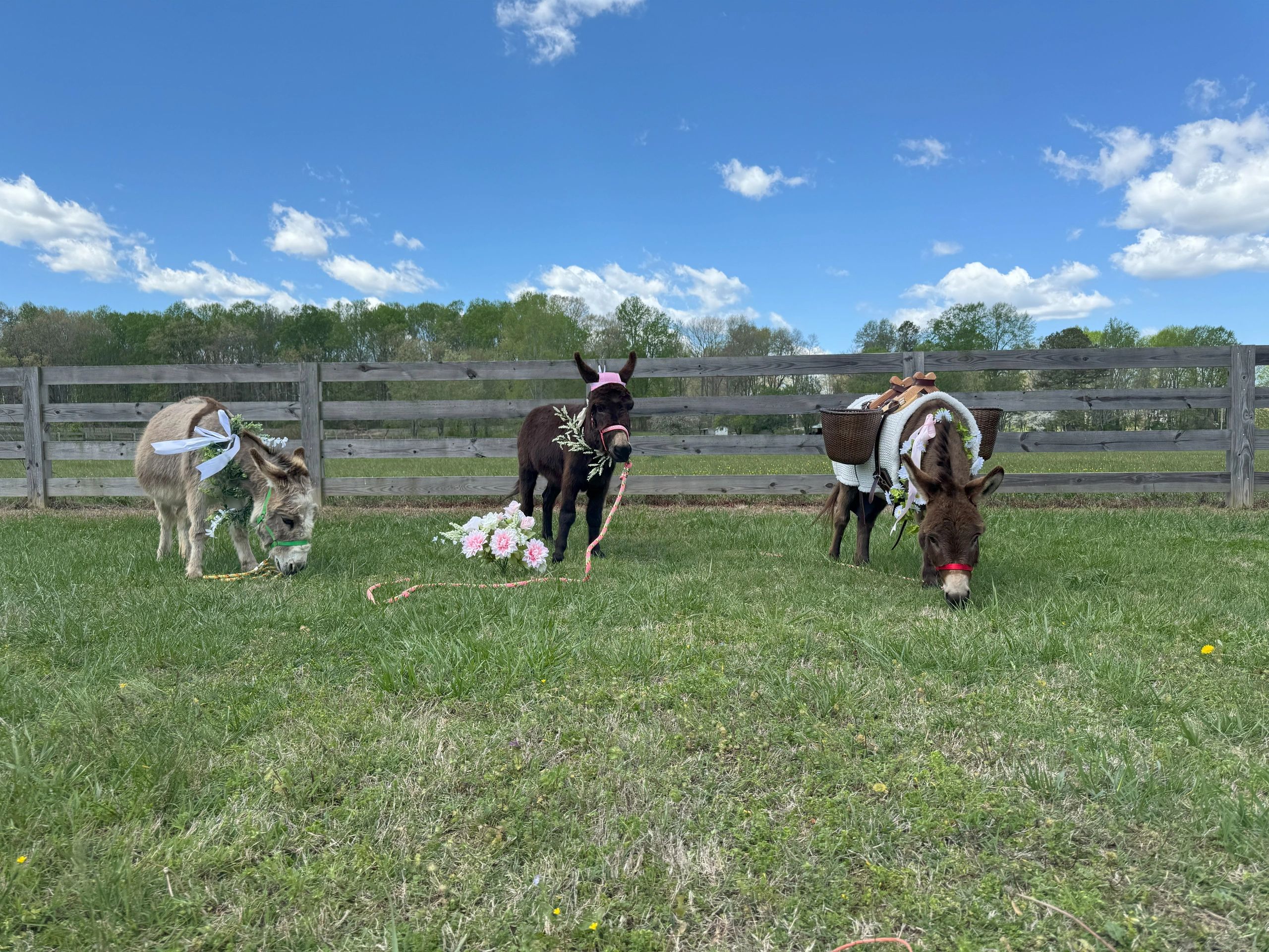 Beverage Burro, Team - Tiney Hiney Beverage Burros, LLC