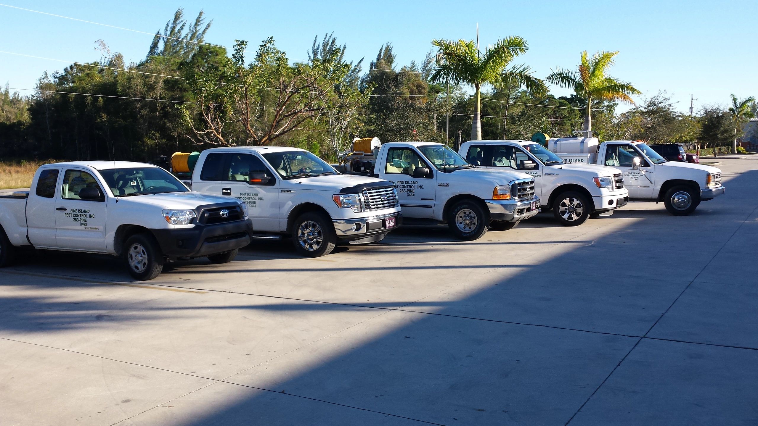 Expert Termite Control Services | Pine Island Pest Control
