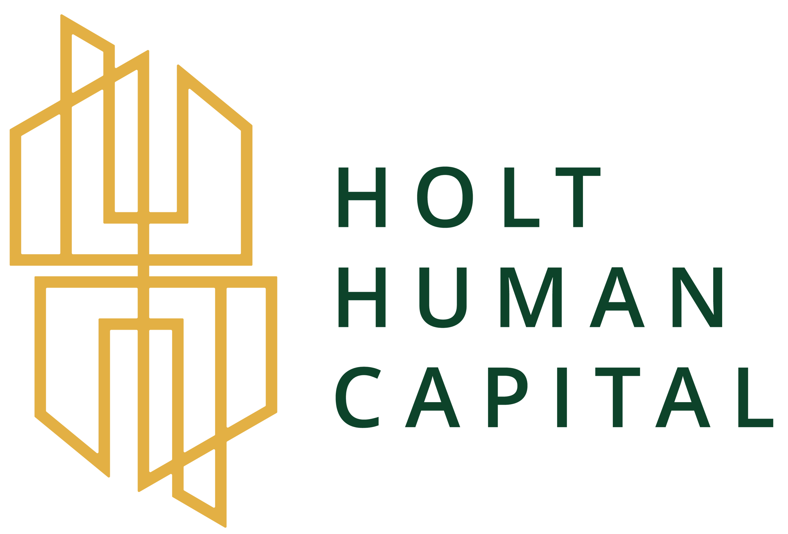 Holt Human Capital, LLC