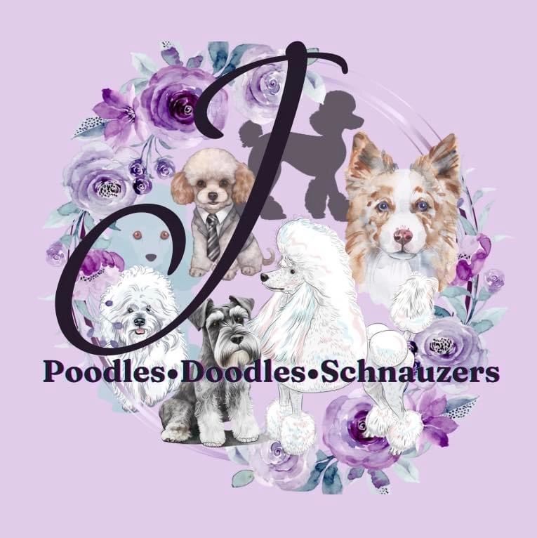 J'Adorable Poodles & Doodles - Pet Services, Doodles, Poodles