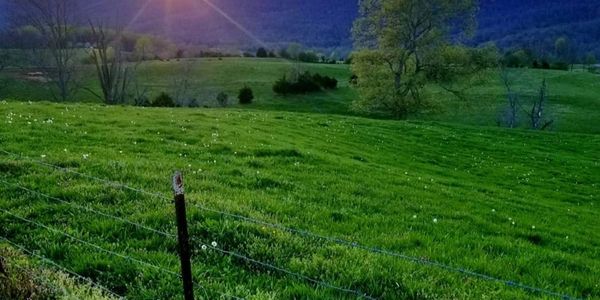 Hidden Spring Farm LLC