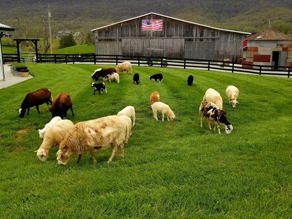 Hidden Spring Farm LLC