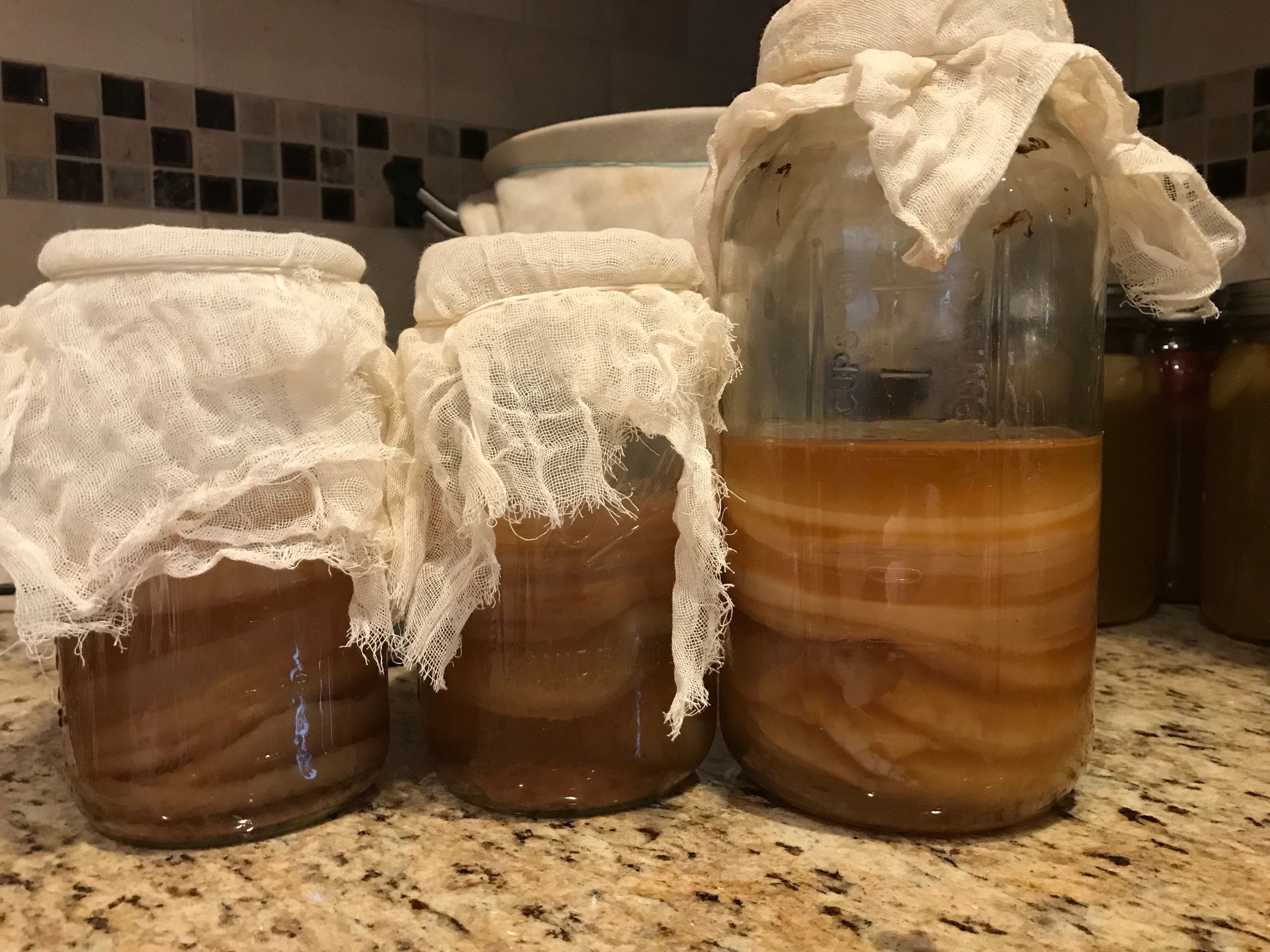 SCOBY Symbolism