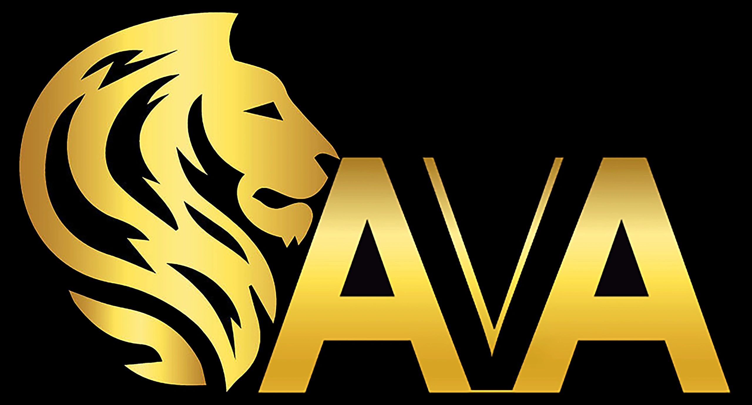 AVA TRANSPORTATION INC