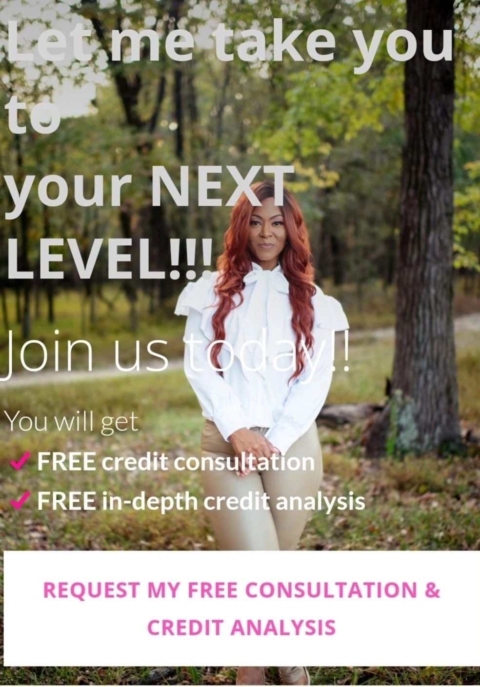 Next Level Consulting